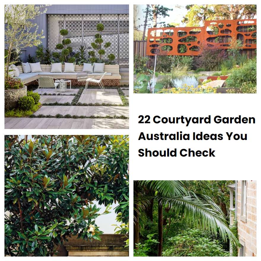 22 Courtyard Garden Australia Ideas You Should Check | SharonSable