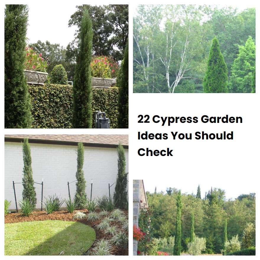 22 Cypress Garden Ideas You Should Check | SharonSable