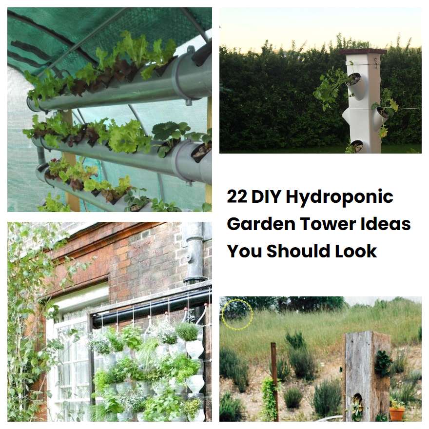 22 DIY Hydroponic Garden Tower Ideas You Should Look | SharonSable