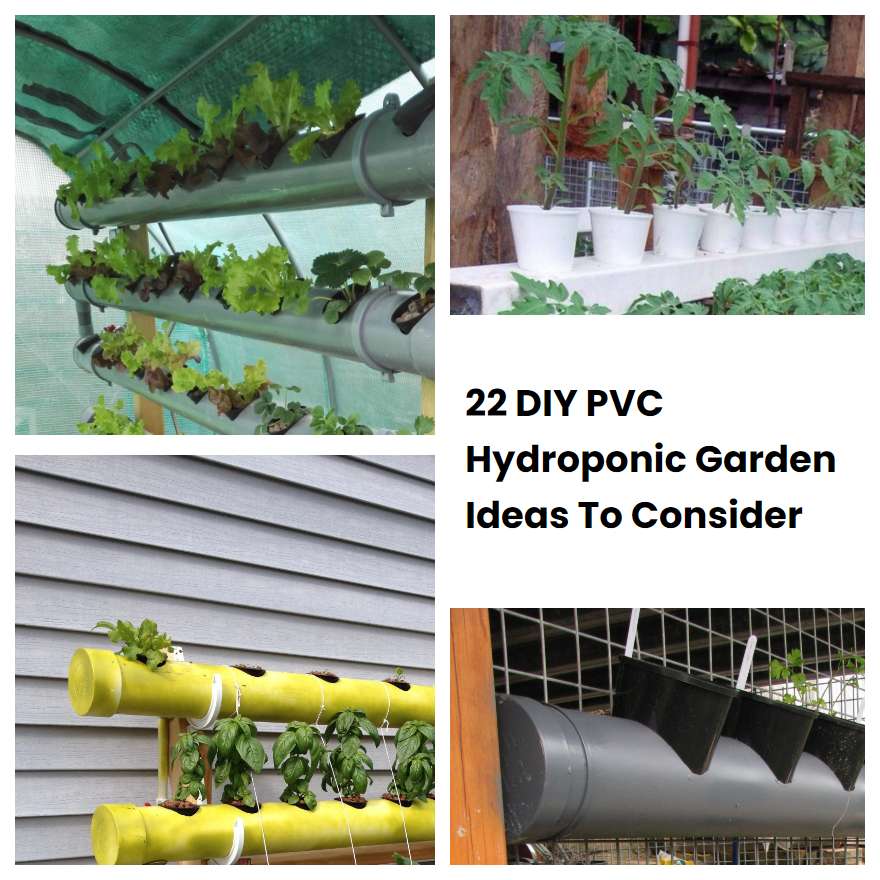 22 DIY PVC Hydroponic Garden Ideas To Consider | SharonSable 22 DIY PVC Hydroponic Garden Ideas To Consider | SharonSable