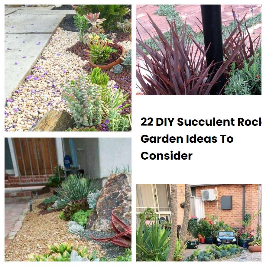 22 DIY Succulent Rock Garden Ideas To Consider | SharonSable