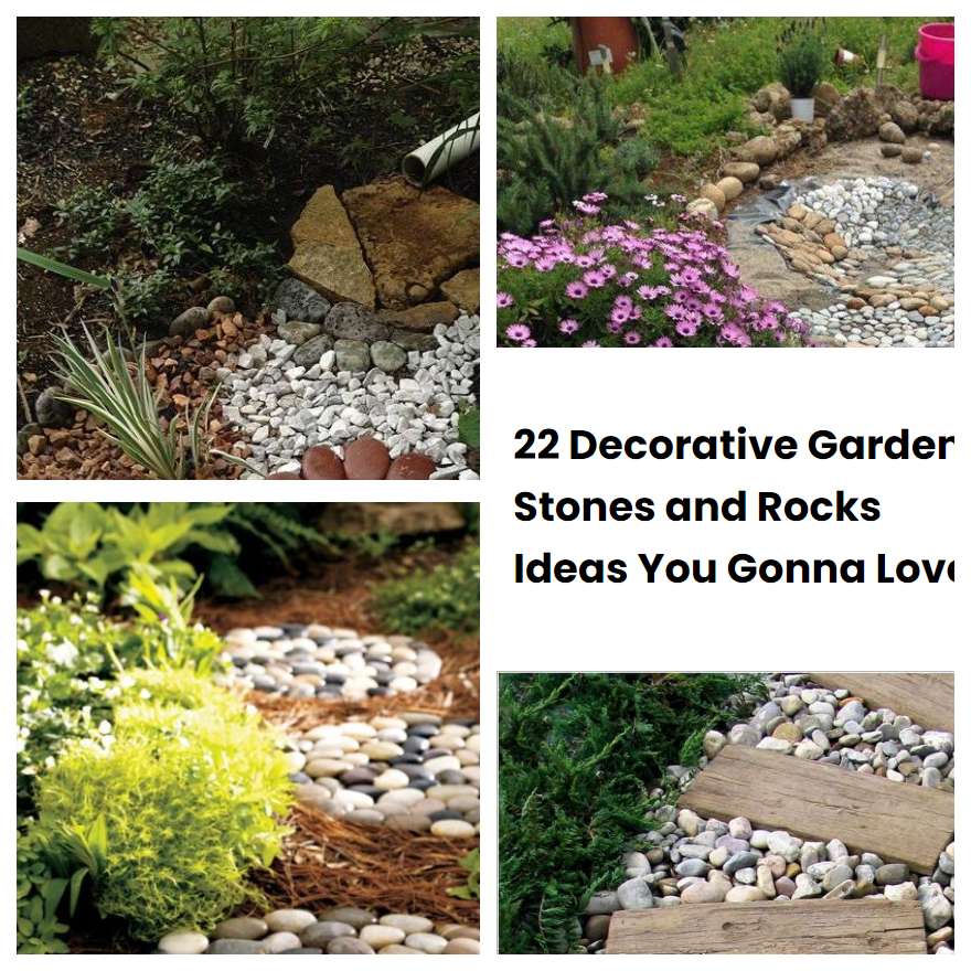 22 Decorative Garden Stones and Rocks Ideas You Gonna Love | SharonSable