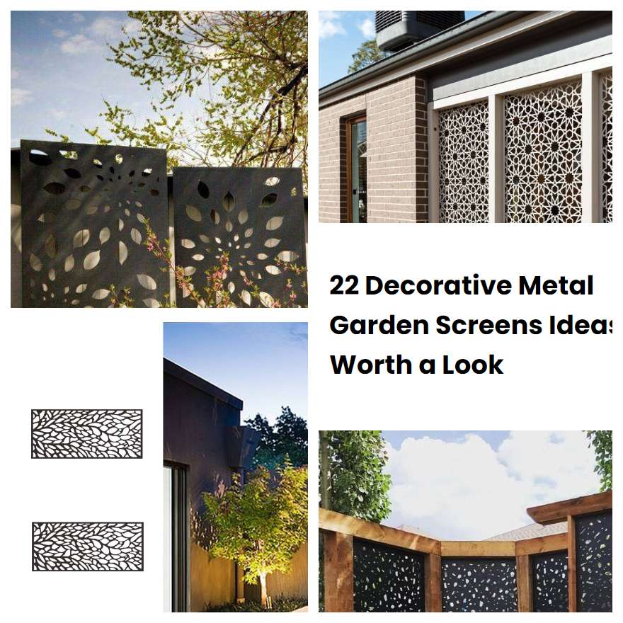 22 Decorative Metal Garden Screens Ideas Worth a Look | SharonSable