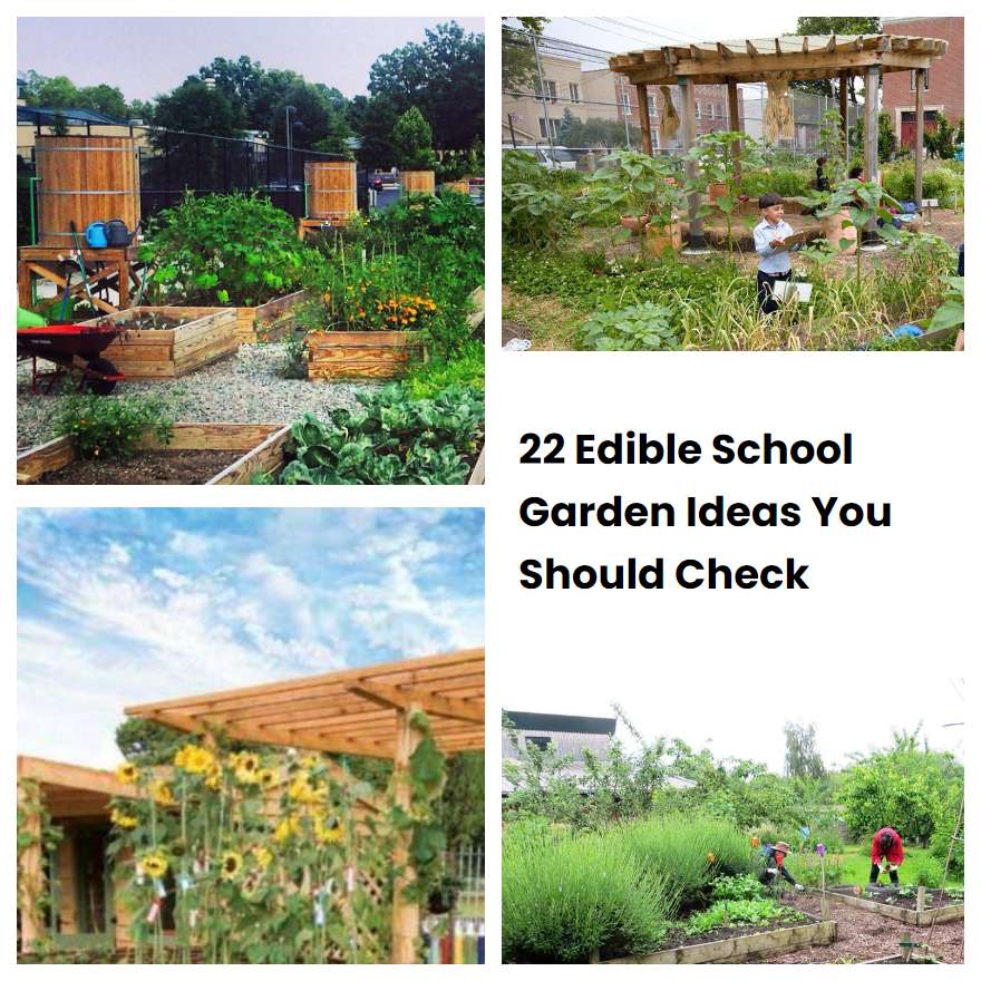 22 Edible School Garden Ideas You Should Check | SharonSable