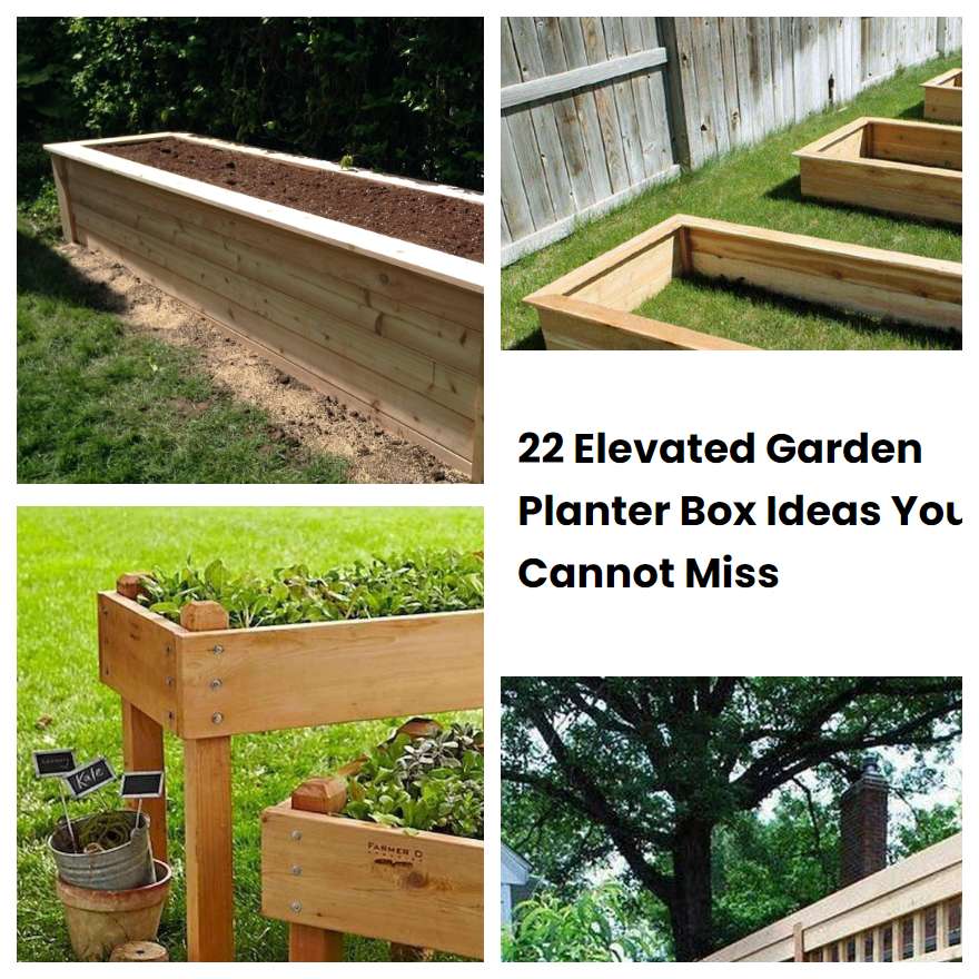 22 Elevated Garden Planter Box Ideas You Cannot Miss | SharonSable