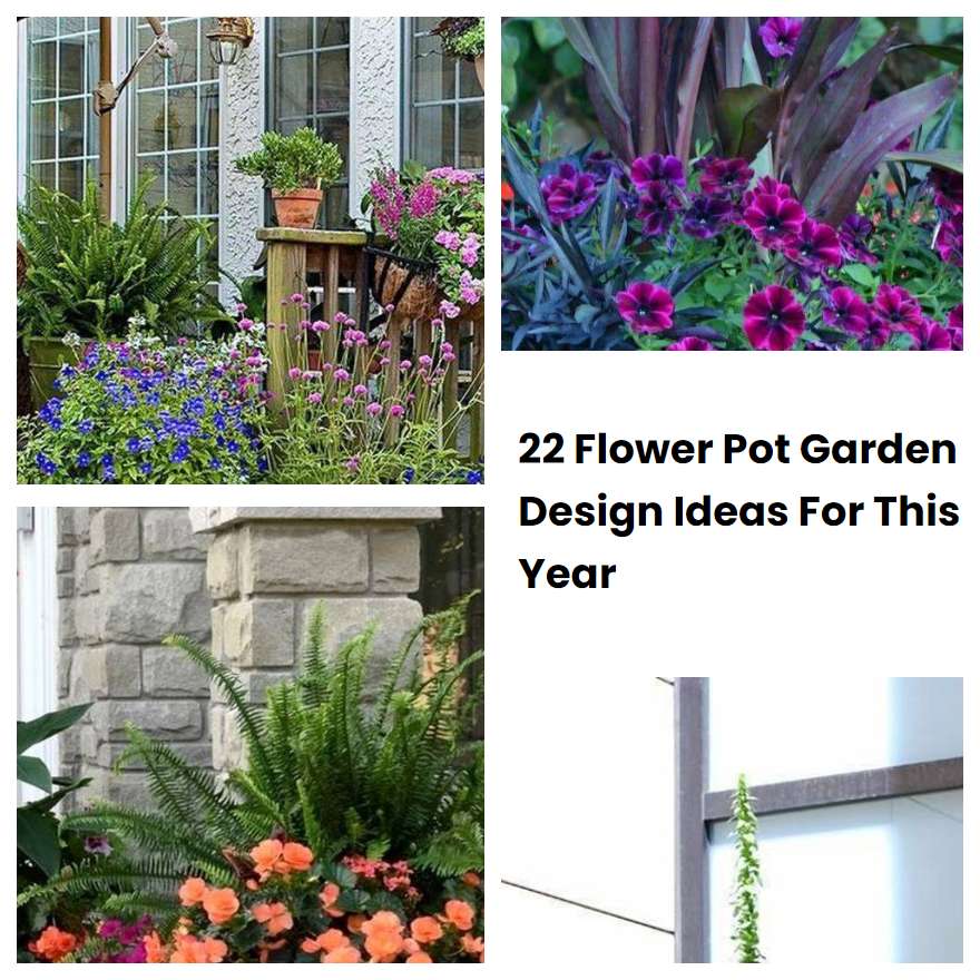 22 Flower Pot Garden Design Ideas For This Year | SharonSable