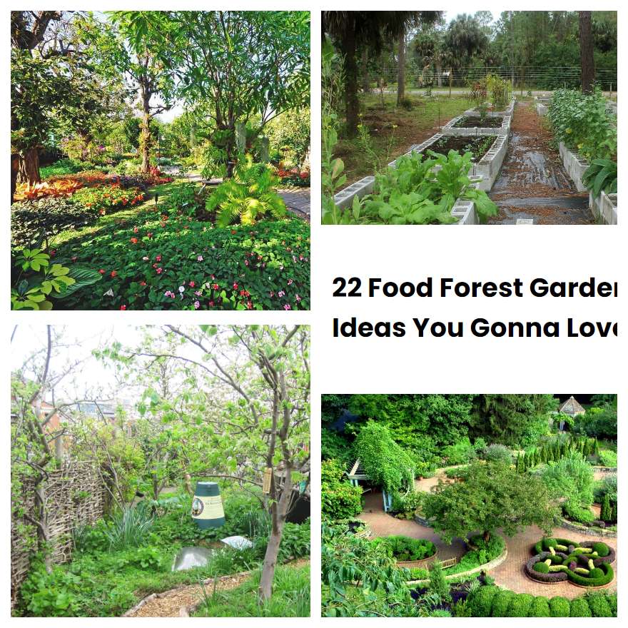 22 Food Forest Garden Ideas You Gonna Love | SharonSable