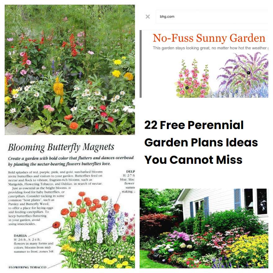 22 Free Perennial Garden Plans Ideas You Cannot Miss | SharonSable
