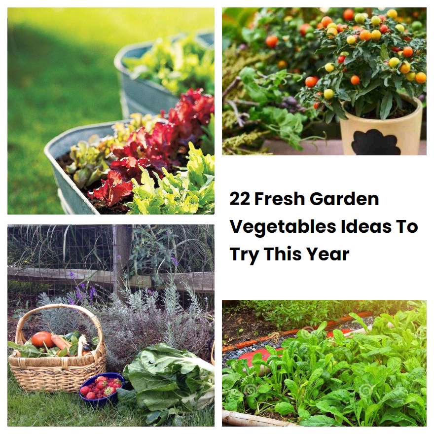 22 Fresh Garden Vegetables Ideas To Try This Year | SharonSable