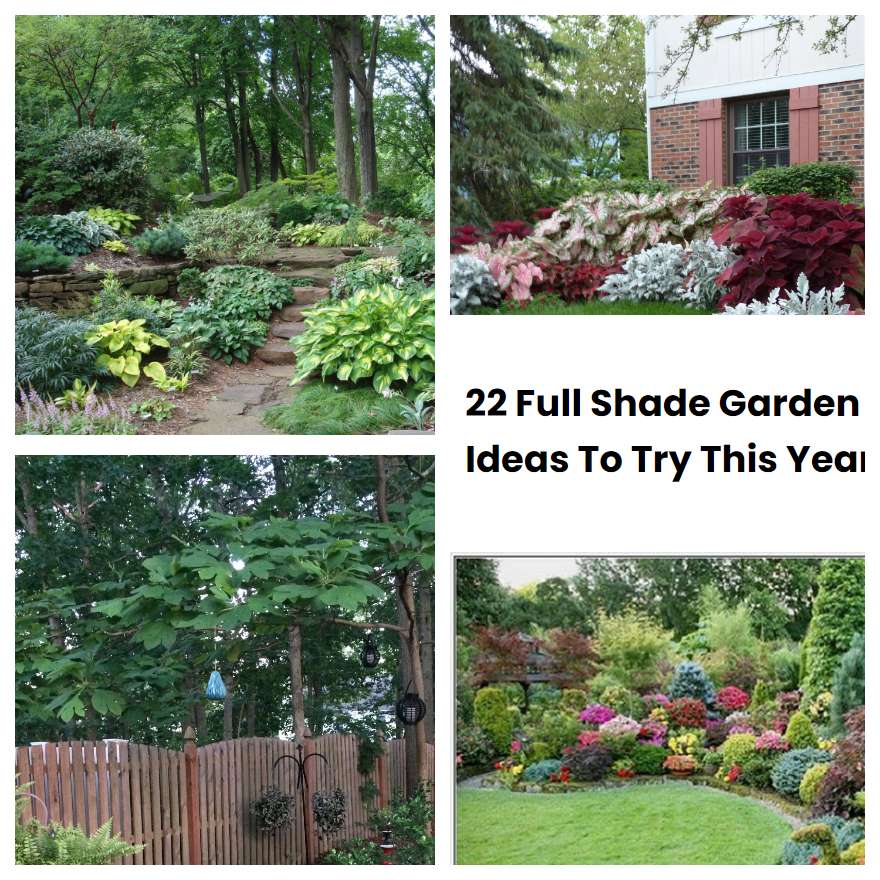 22 Full Shade Garden Ideas To Try This Year | SharonSable