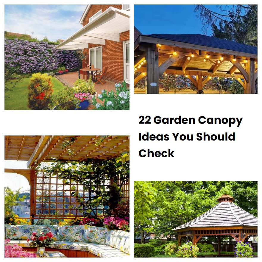 22 Garden Canopy Ideas You Should Check | SharonSable