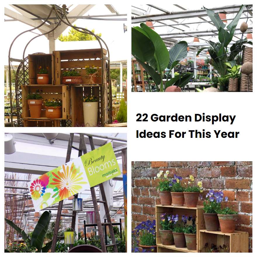 22 Garden Display Ideas For This Year | SharonSable