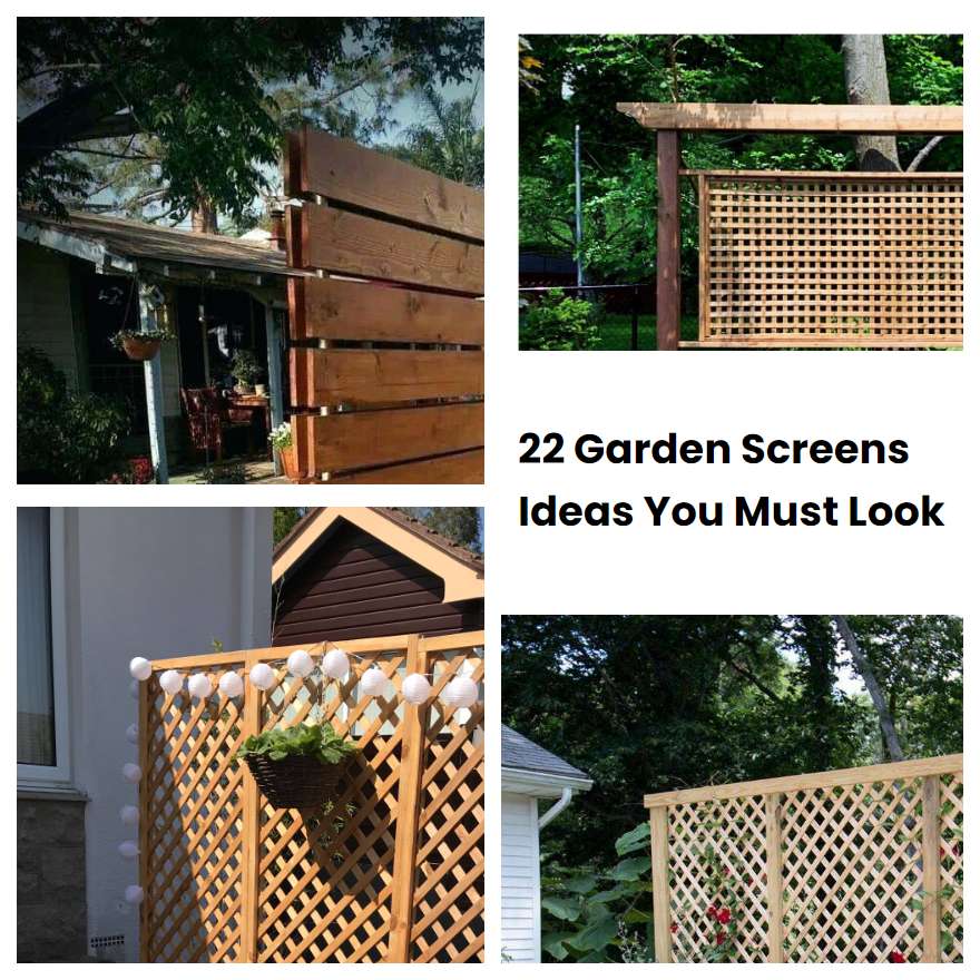 22 Garden Screens Ideas You Must Look | SharonSable