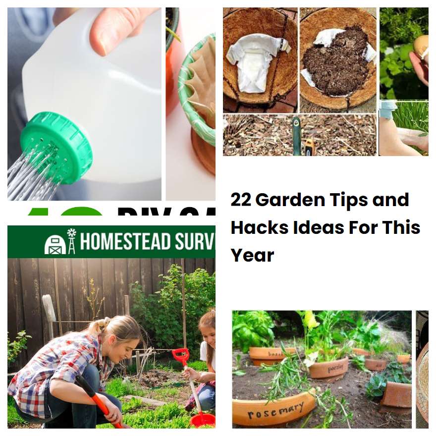 22 Garden Tips and Hacks Ideas For This Year | SharonSable