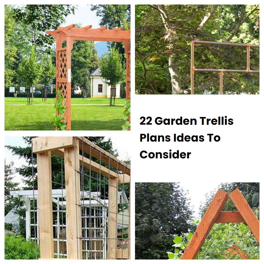 22 Garden Trellis Plans Ideas To Consider | SharonSable