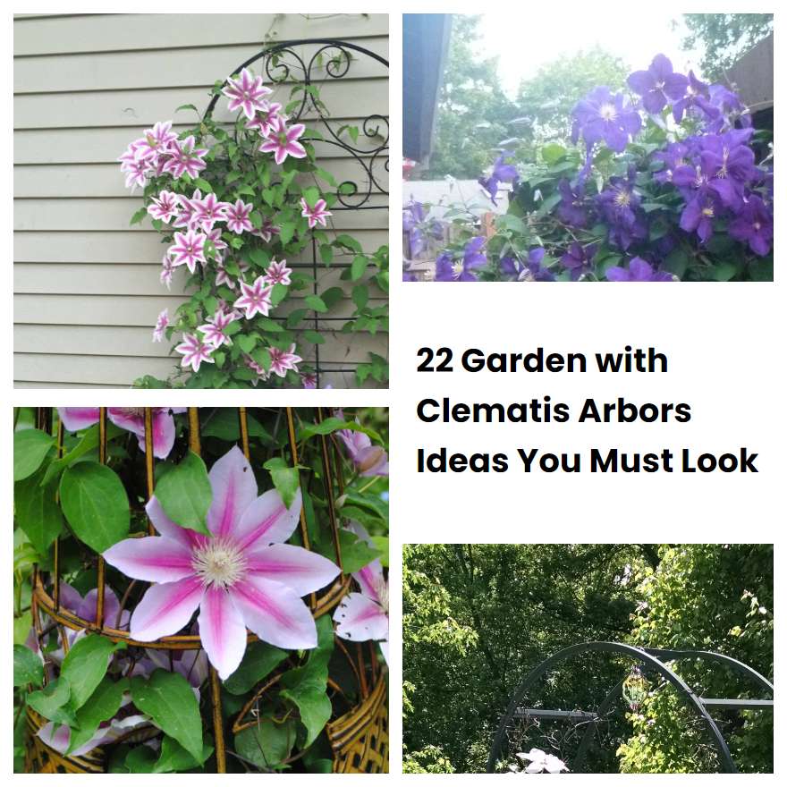 22 Garden with Clematis Arbors Ideas You Must Look | SharonSable