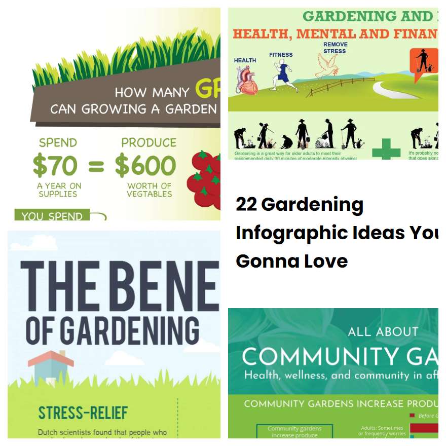 22 Gardening Infographic Ideas You Gonna Love | SharonSable