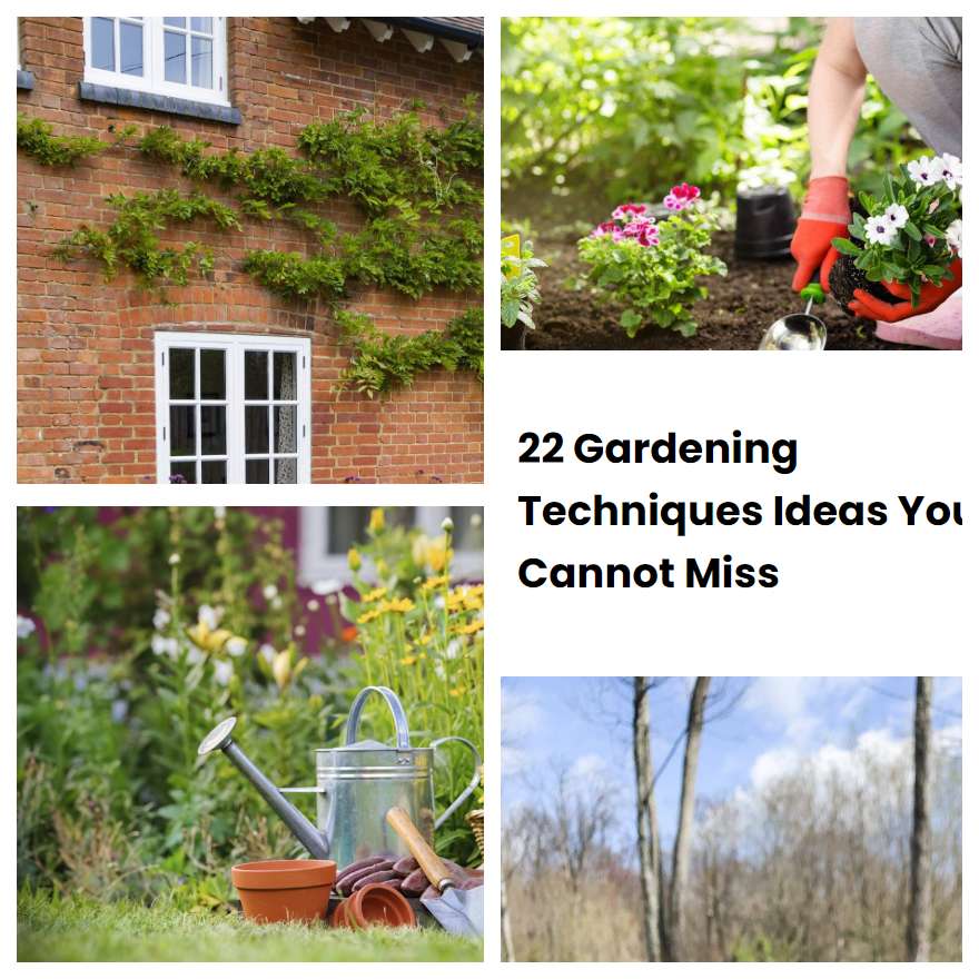 22 Gardening Techniques Ideas You Cannot Miss | SharonSable