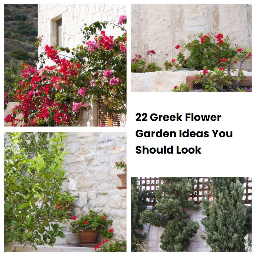 22 Greek Flower Garden Ideas You Should Look | SharonSable