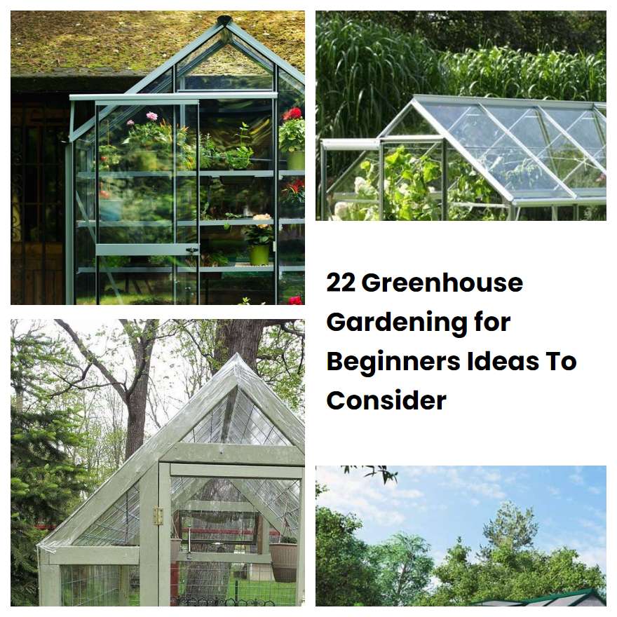 22 Greenhouse Gardening for Beginners Ideas To Consider | SharonSable