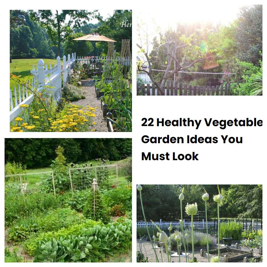 22 Healthy Vegetable Garden Ideas You Must Look | SharonSable