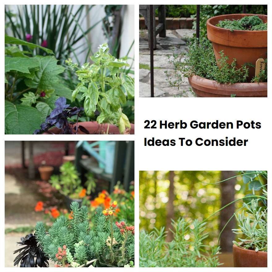 22 Herb Garden Pots Ideas To Consider | SharonSable