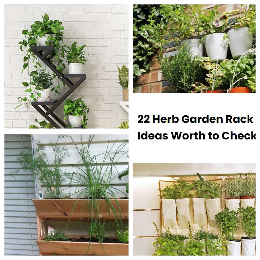 22 Herb Garden Rack Ideas Worth to Check | SharonSable