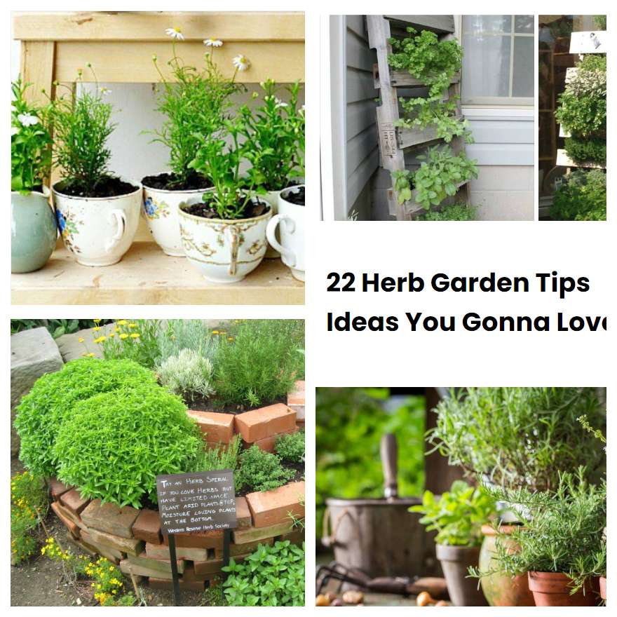 22 Herb Garden Tips Ideas You Gonna Love | SharonSable