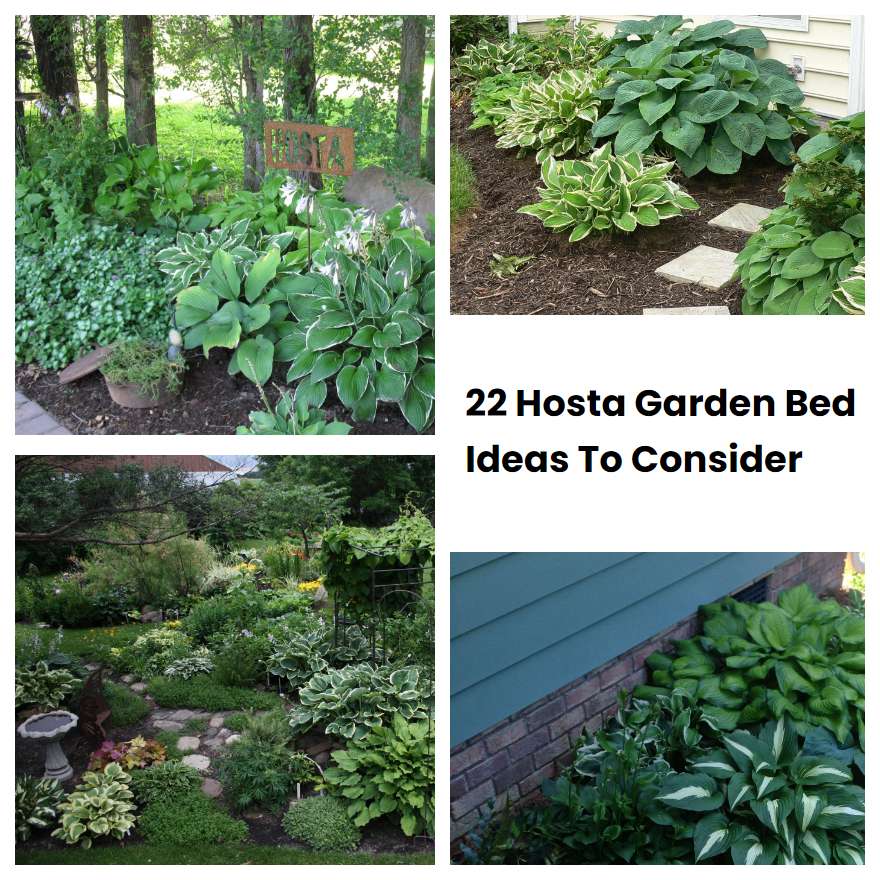22 Hosta Garden Bed Ideas To Consider | SharonSable