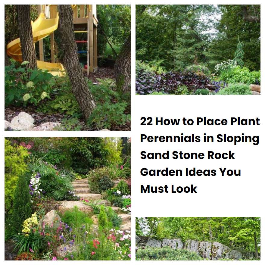 22 How to Place Plants Perennials in Sloping Sand Stone Rock Garden ...