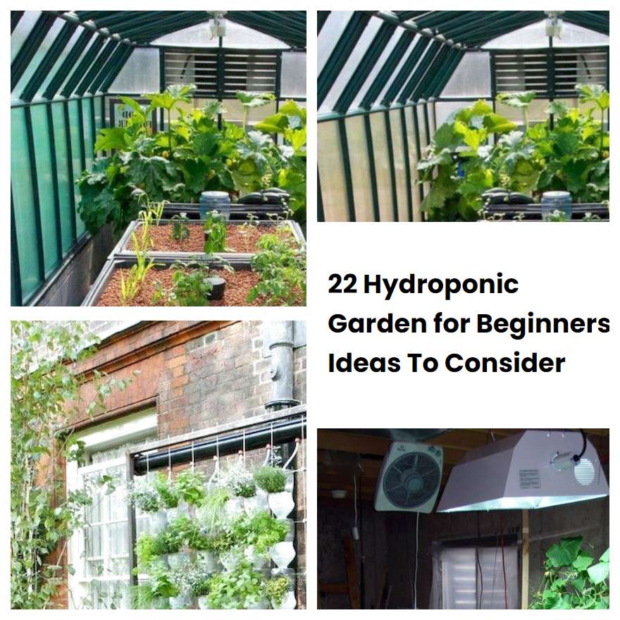 22 Hydroponic Garden for Beginners Ideas To Consider | SharonSable