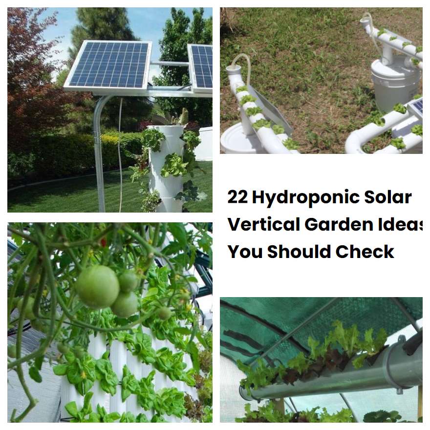 22 Hydroponic Solar Vertical Garden Ideas You Should Check | SharonSable