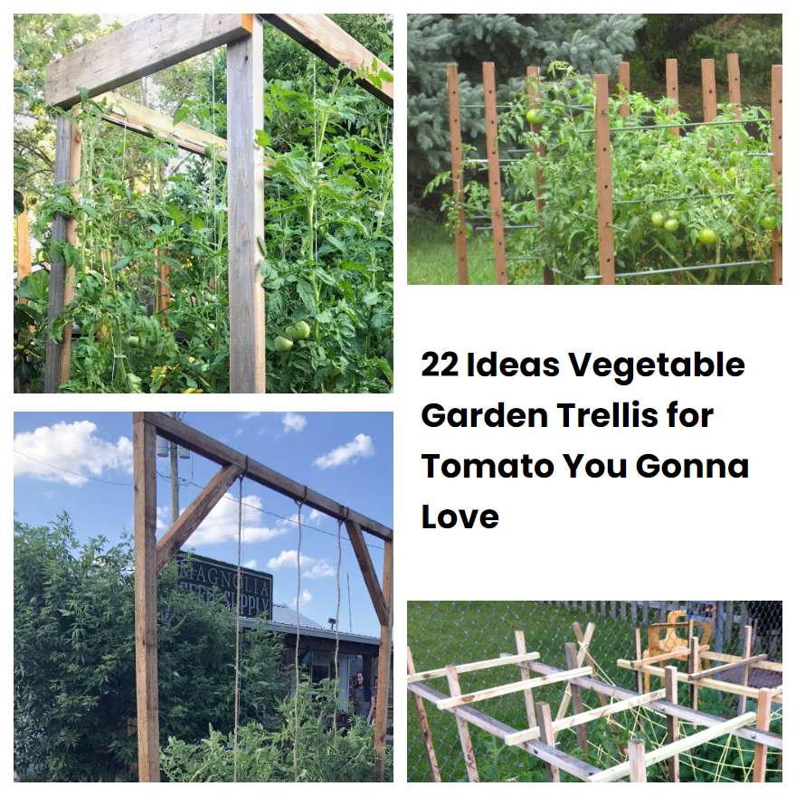 22 Ideas Vegetable Garden Trellis for Tomato You Gonna Love | SharonSable