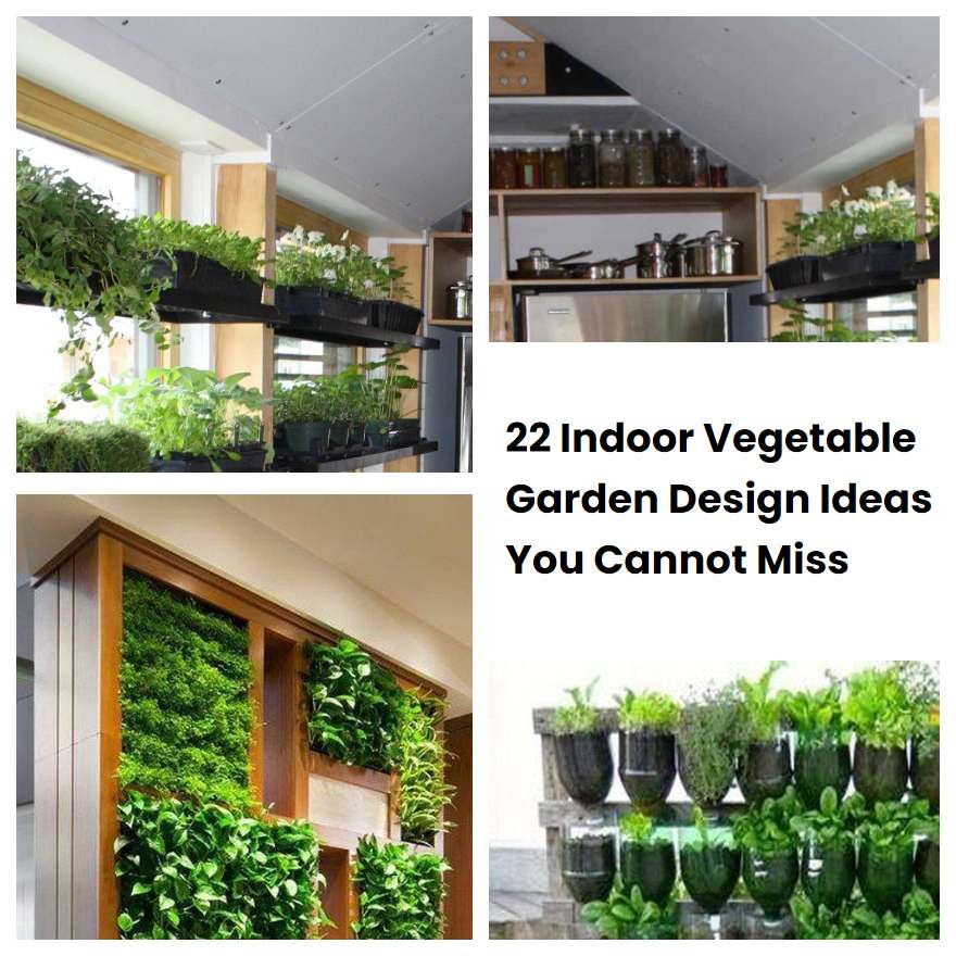 22 Indoor Vegetable Garden Design Ideas You Cannot Miss | SharonSable