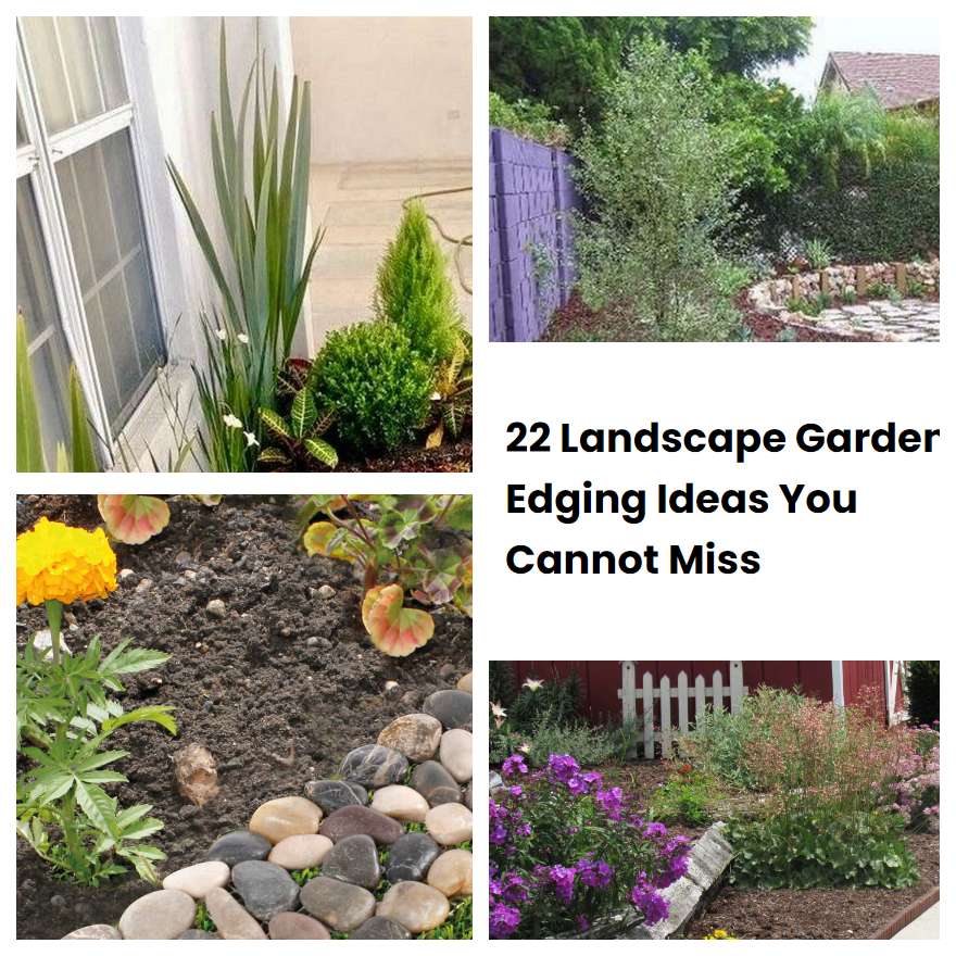 22 Landscape Garden Edging Ideas You Cannot Miss | SharonSable