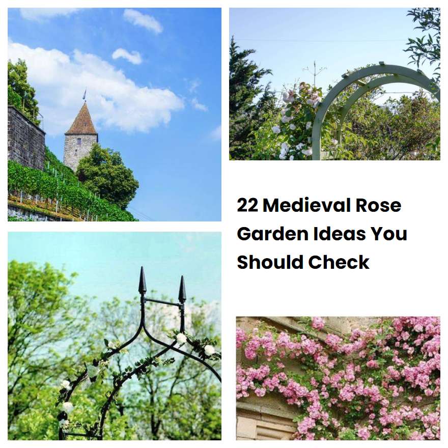 22 Medieval Rose Garden Ideas You Should Check | SharonSable