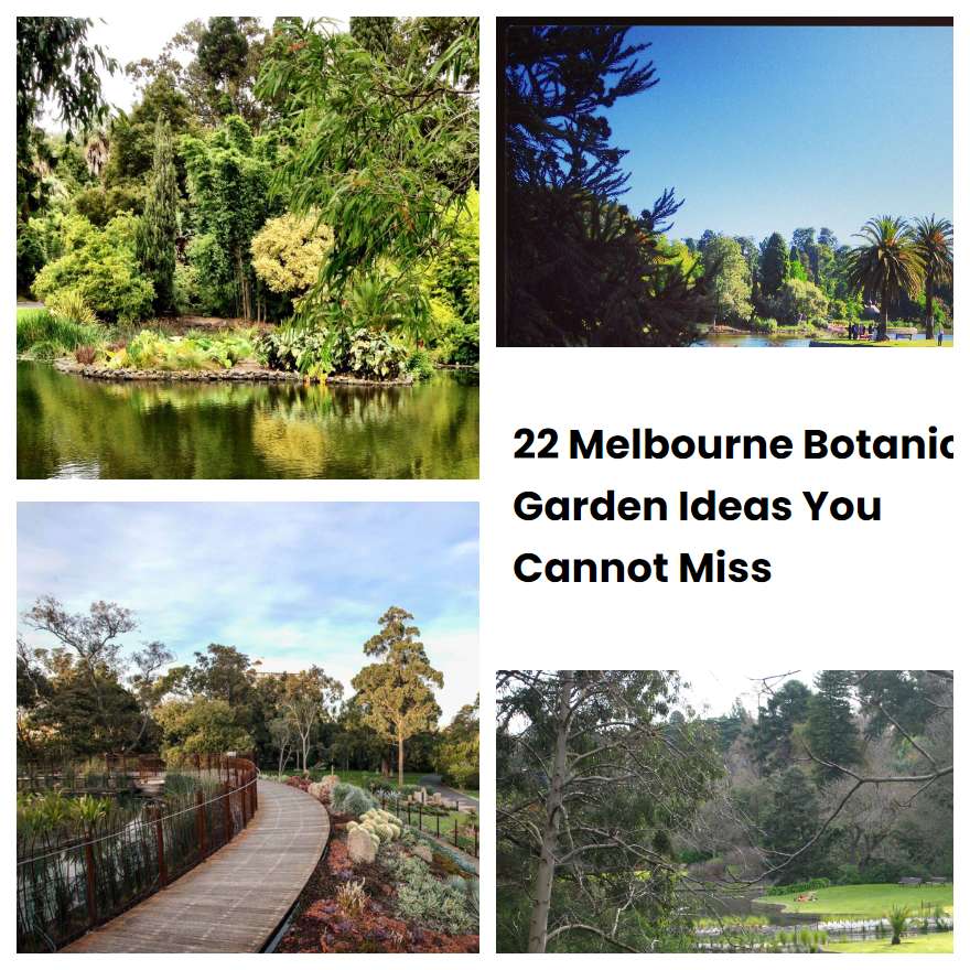 22 Melbourne Botanic Garden Ideas You Cannot Miss | SharonSable