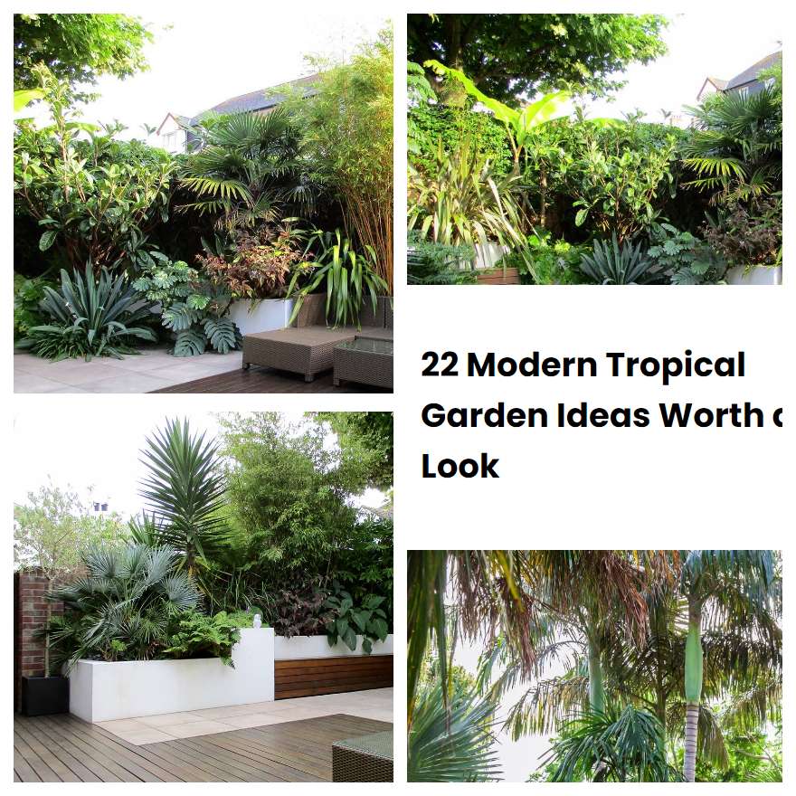 22 Modern Tropical Garden Ideas Worth a Look | SharonSable