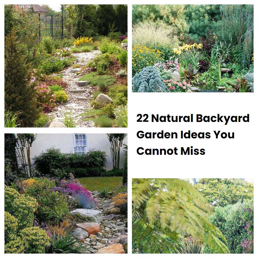 22 Natural Backyard Garden Ideas You Cannot Miss | SharonSable