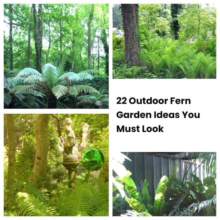 22 Outdoor Fern Garden Ideas You Must Look | SharonSable