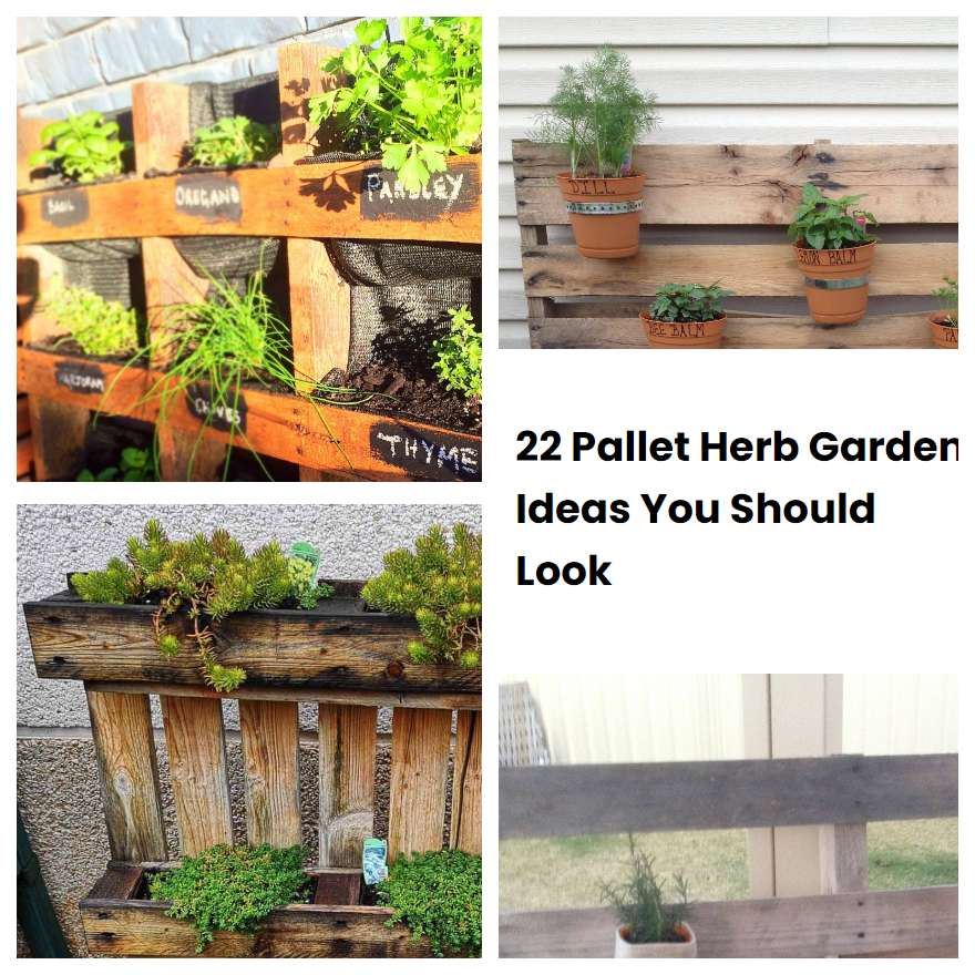 22 Pallet Herb Garden Ideas You Should Look | SharonSable