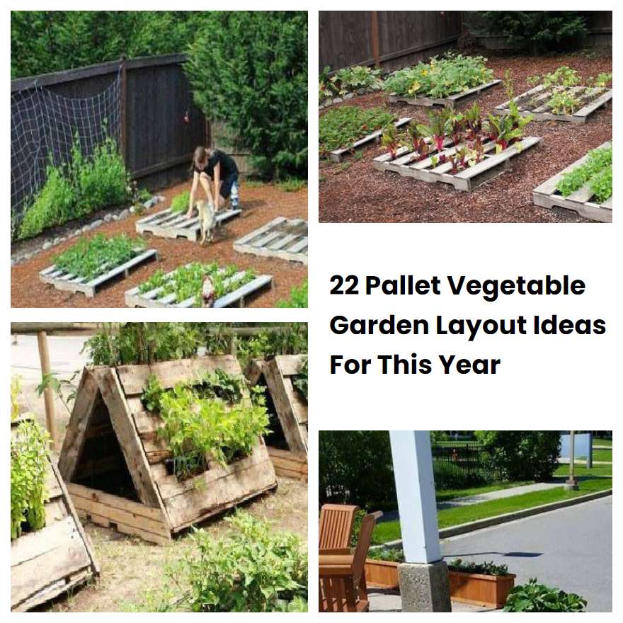22 Pallet Vegetable Garden Layout Ideas For This Year | SharonSable