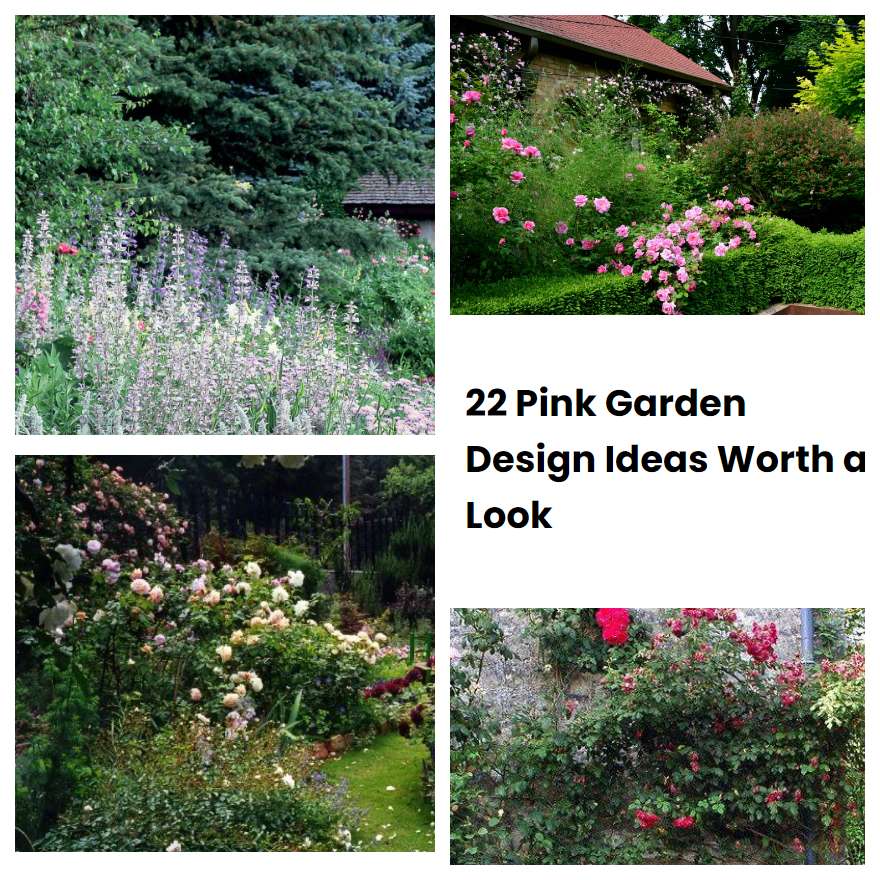 22 Pink Garden Design Ideas Worth a Look | SharonSable