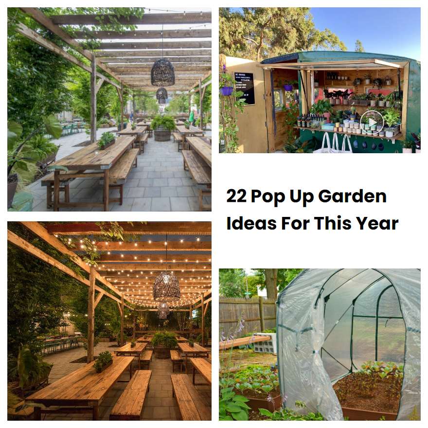 22 Pop Up Garden Ideas For This Year | SharonSable