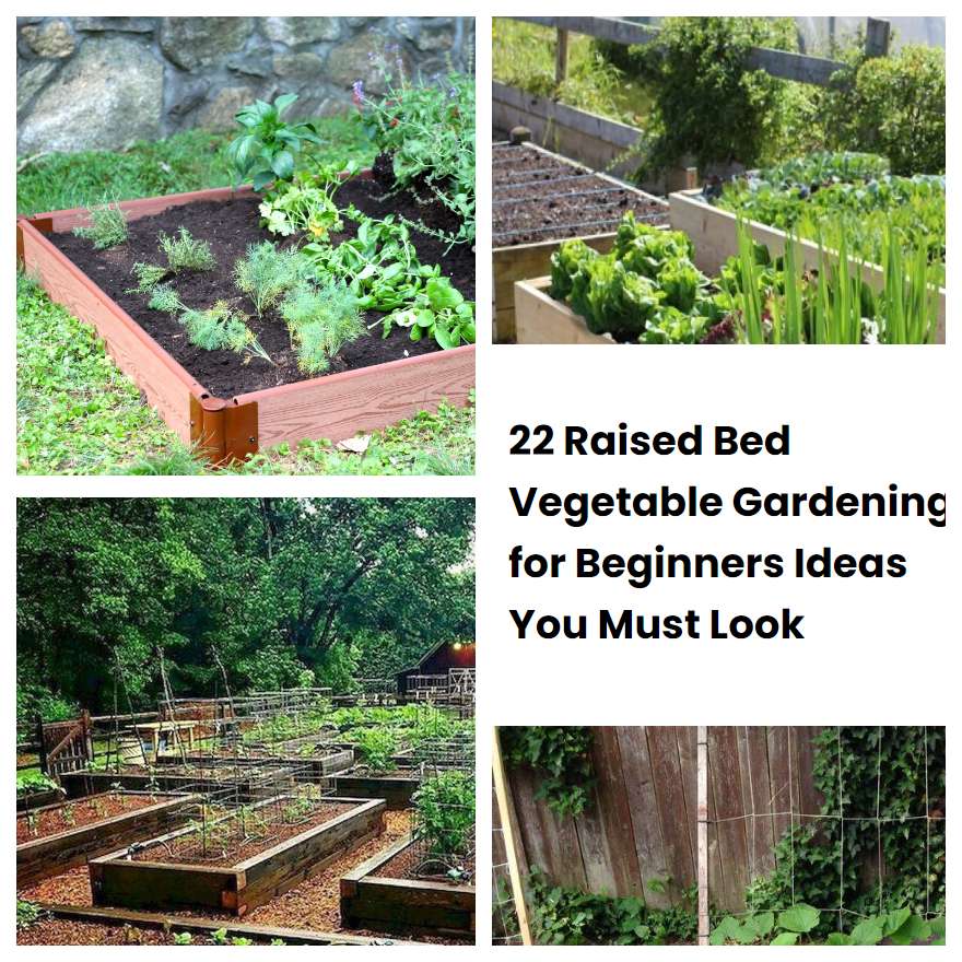 22 Raised Bed Vegetable Gardening for Beginners Ideas You Must Look | SharonSable