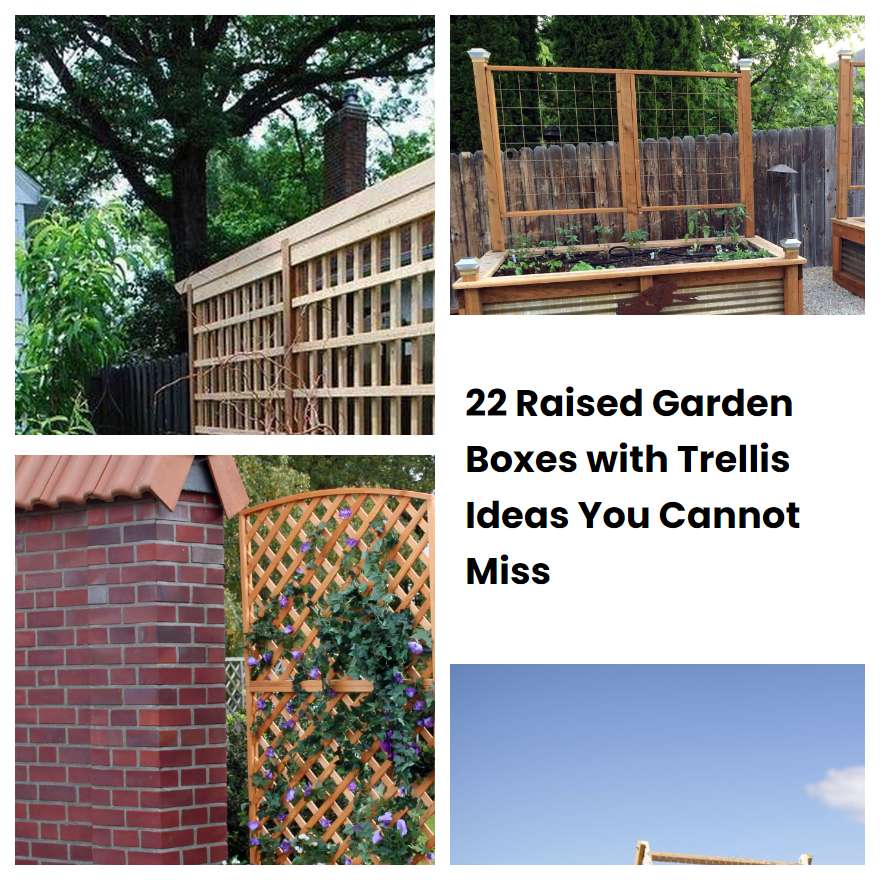 22 Raised Garden Boxes with Trellis Ideas You Cannot Miss | SharonSable