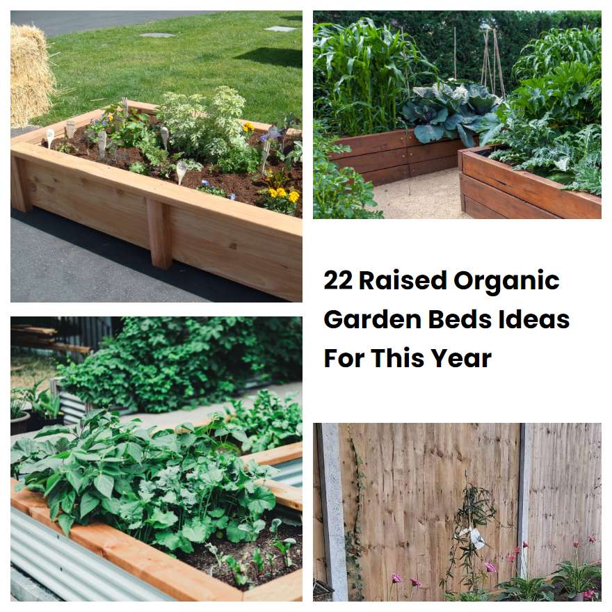 22 Raised Organic Garden Beds Ideas For This Year Sharonsable