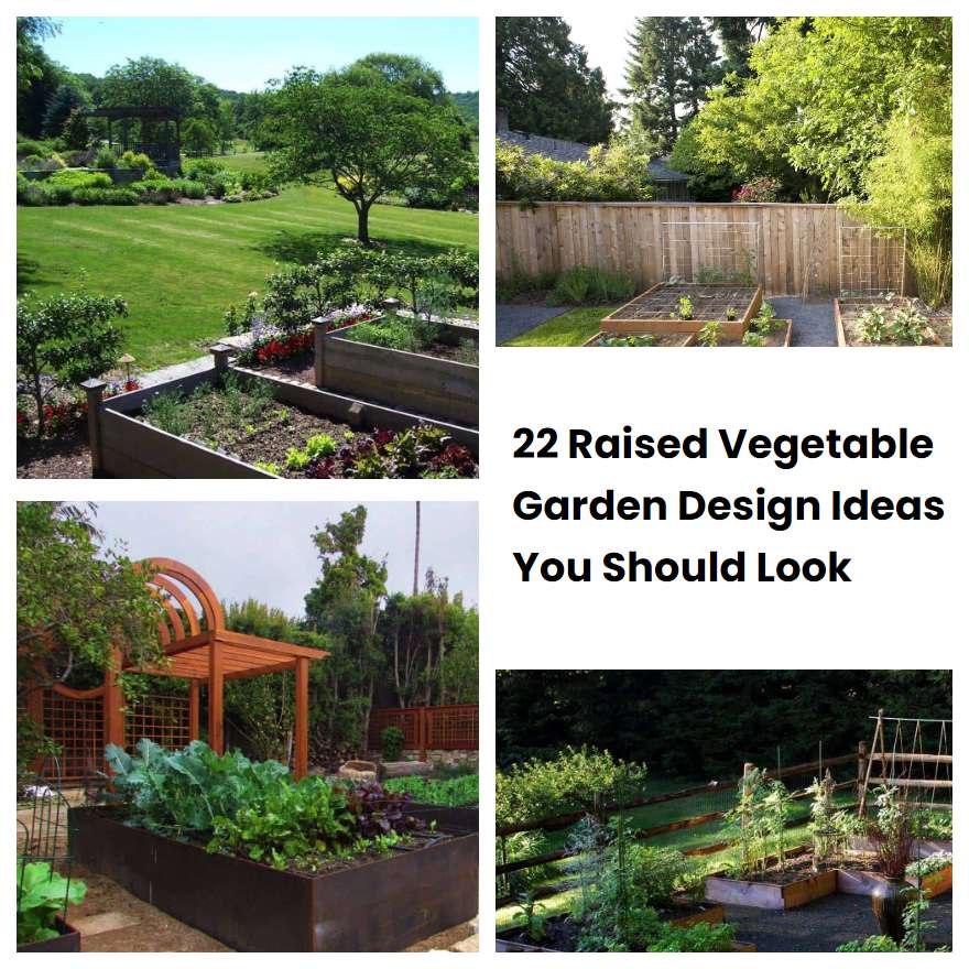22 Raised Vegetable Garden Design Ideas You Should Look | SharonSable