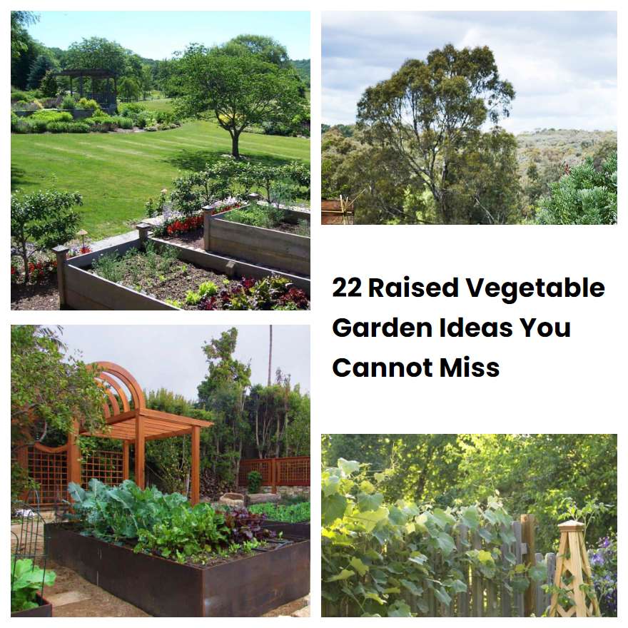 22 Raised Vegetable Garden Ideas You Cannot Miss | SharonSable