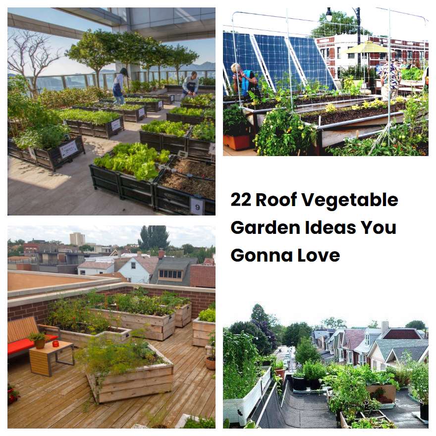 22 Roof Vegetable Garden Ideas You Gonna Love | SharonSable